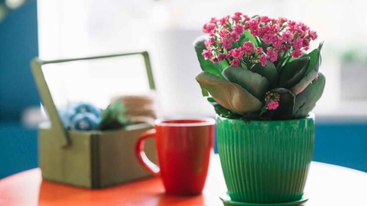 Creative Ways to Display Small Flower Arrangements in Your Home