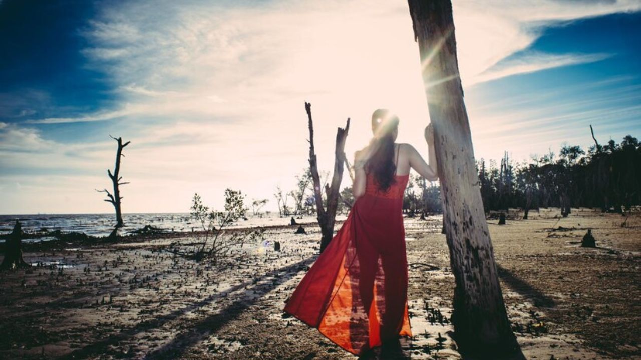 majestynasty – got fired from amazon k2s.cc: A Journey of Resilience ...